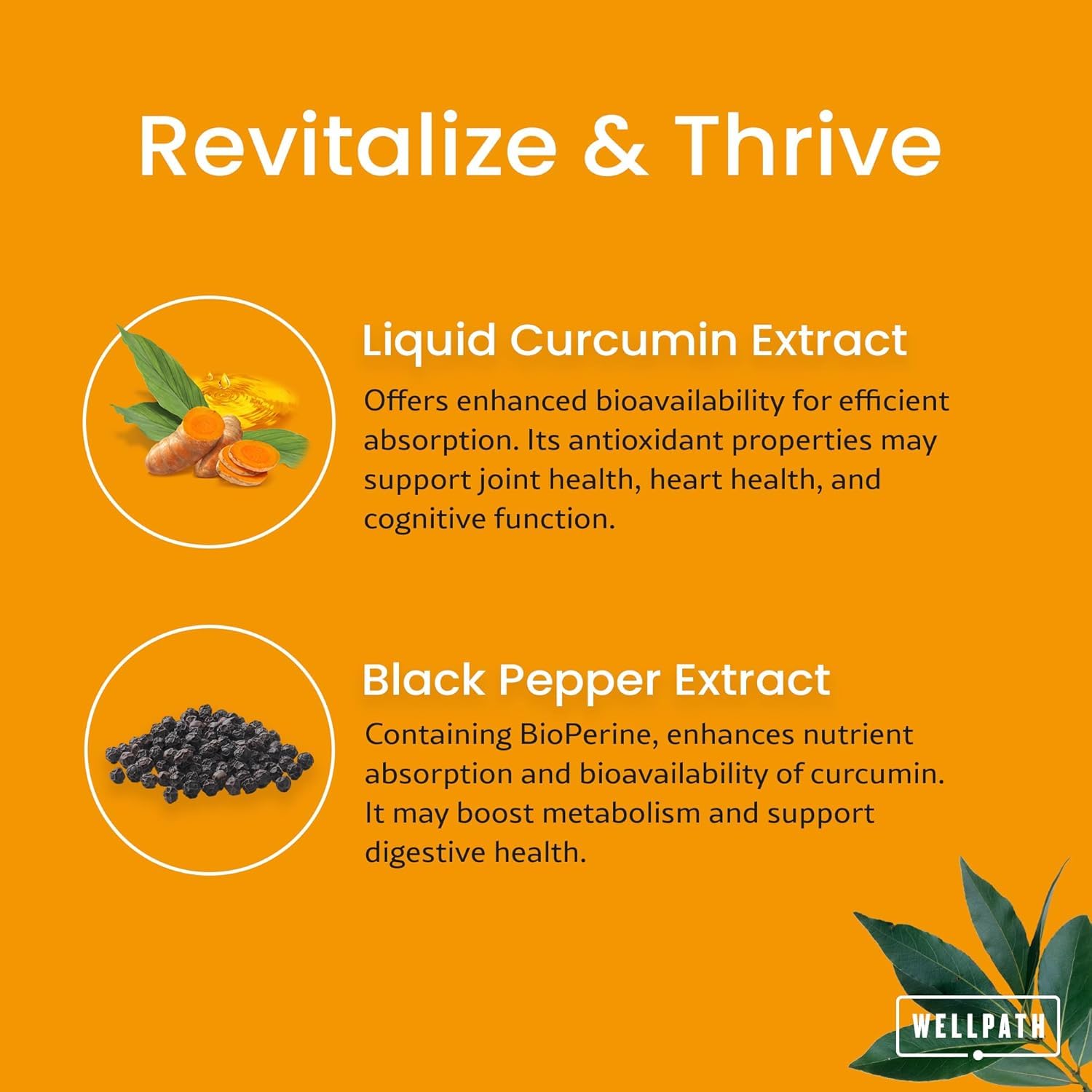 bioroot turmeric for daily health