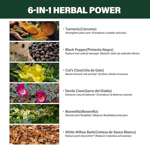 bioroot turmeric for daily health