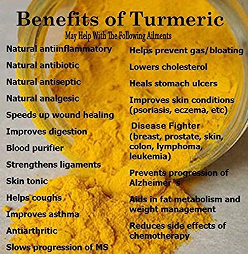 bioroot turmeric for daily nutrition