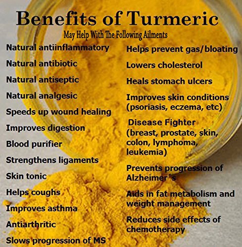 bioroot turmeric for daily nutrition