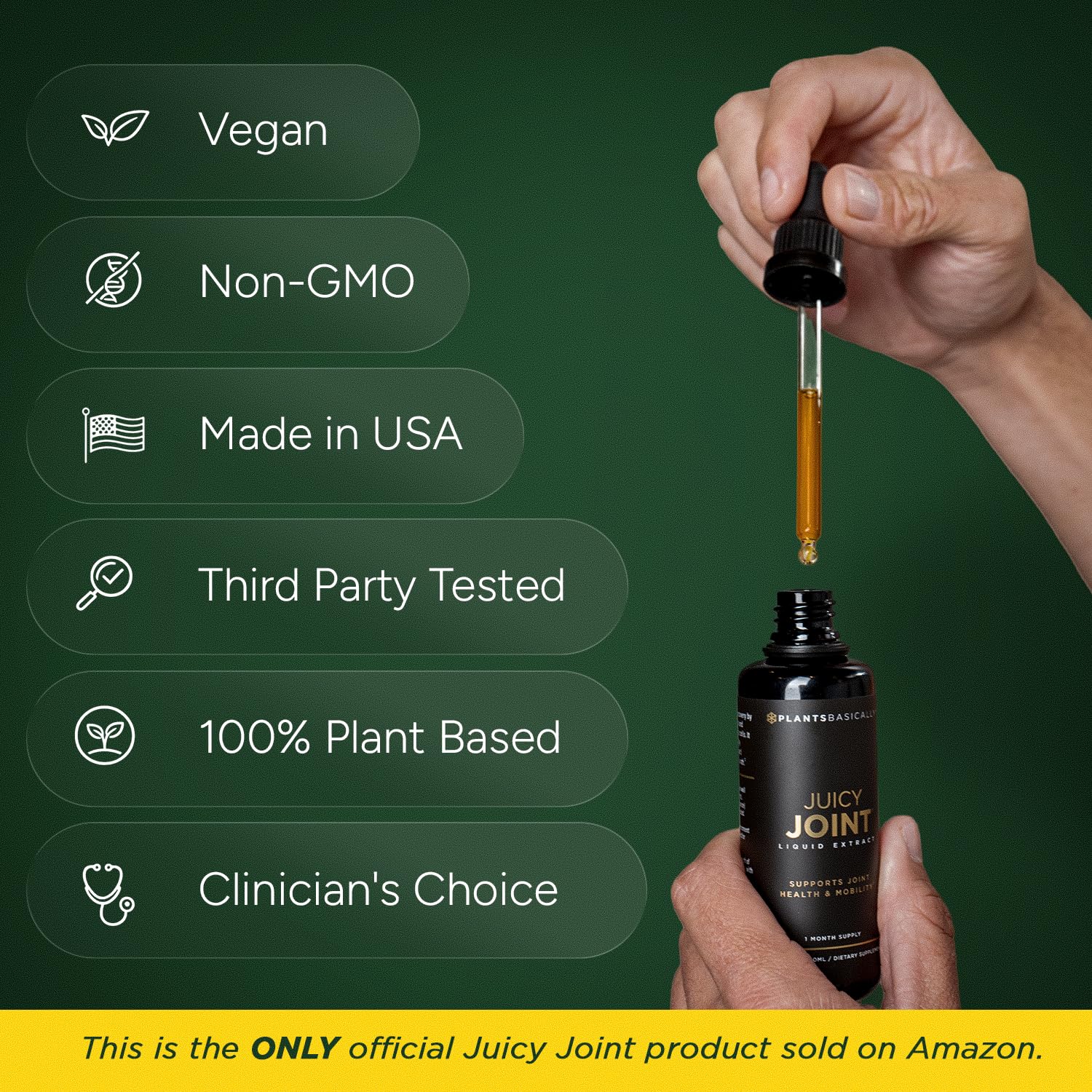 bioroot turmeric for daily wellness