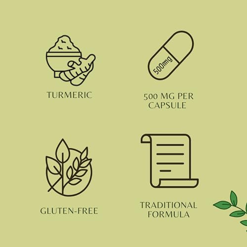 bioroot turmeric for digestive health