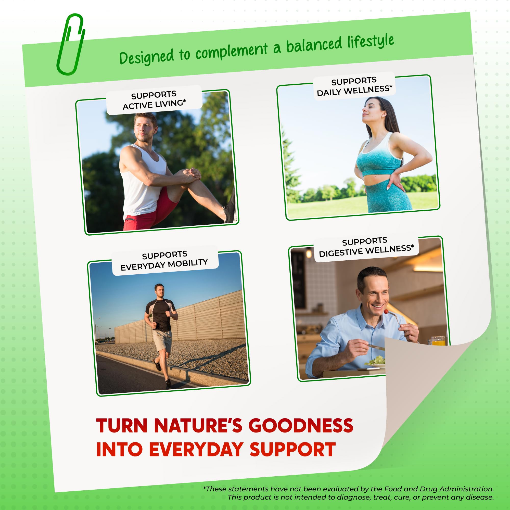 bioroot turmeric for everyday health