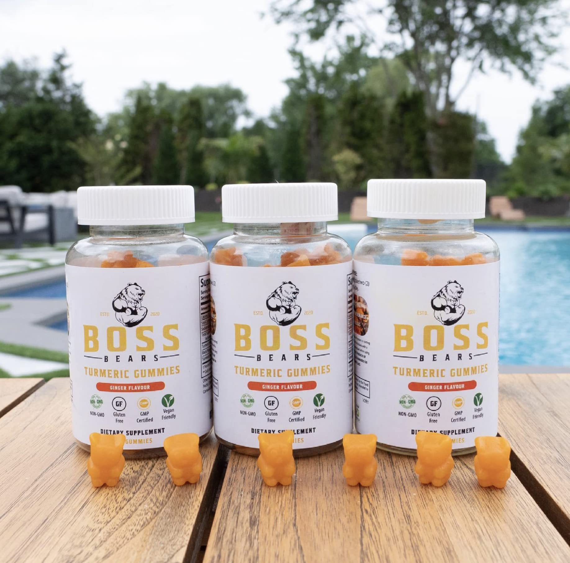 bioroot turmeric for everyday vitality
