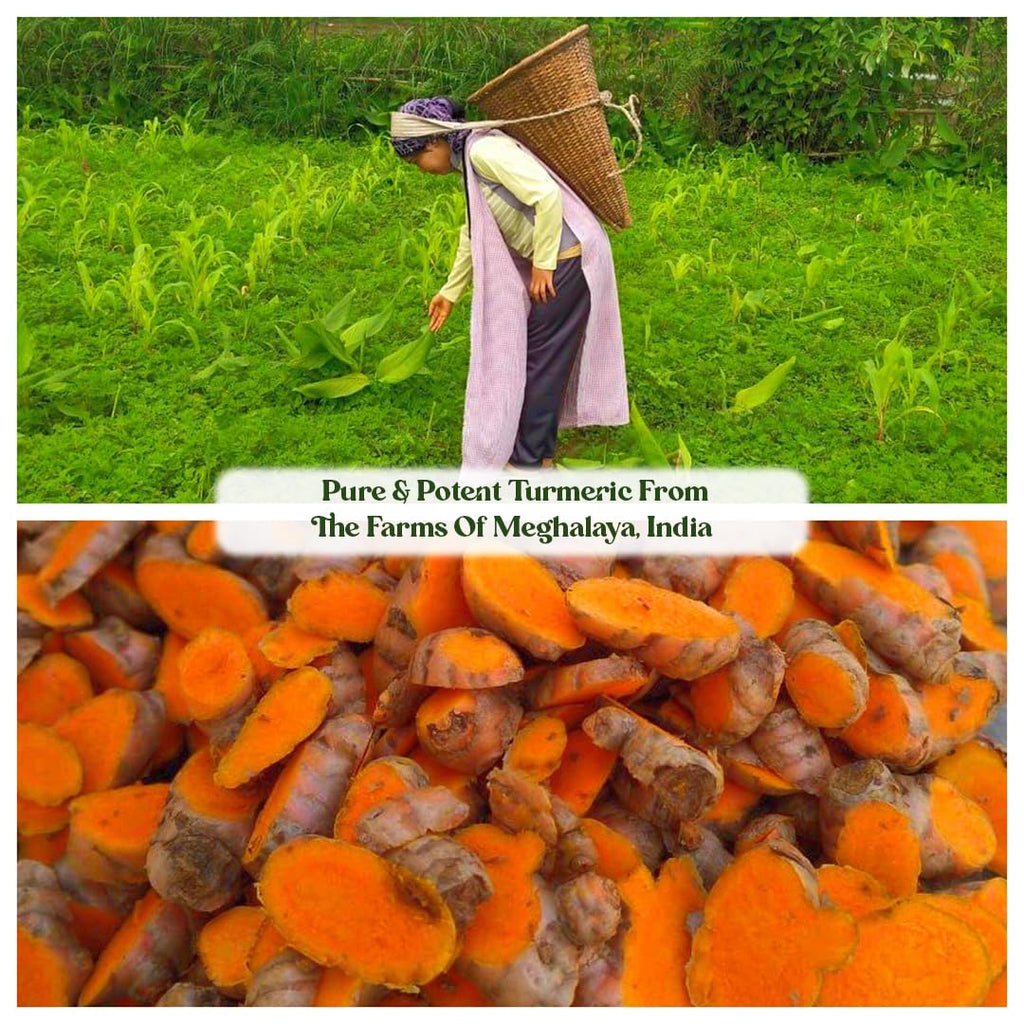 bioroot turmeric for healthy aging