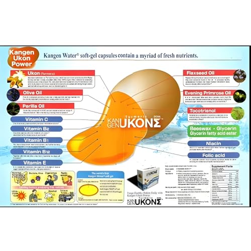 bioroot turmeric for immune support