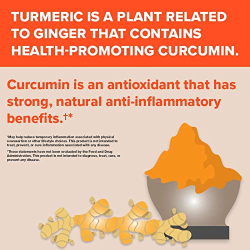 bioroot turmeric for immune support