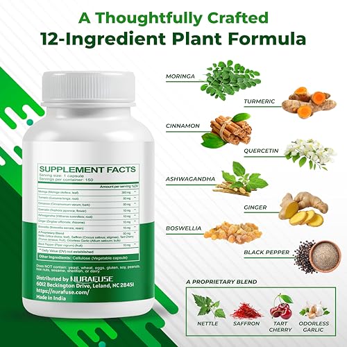 bioroot turmeric for immune support