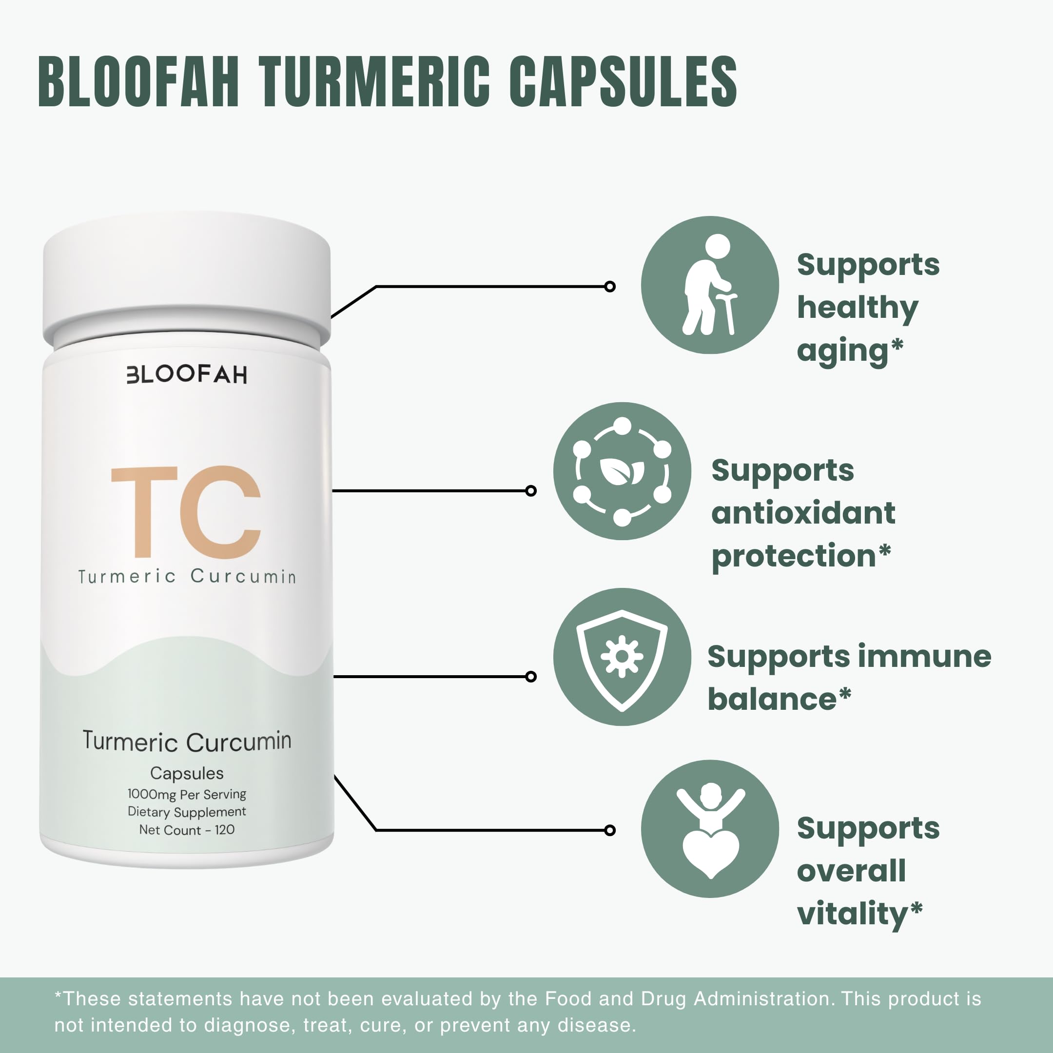 bioroot turmeric for joint support