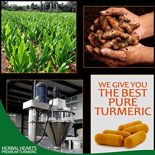 bioroot turmeric for overall wellness