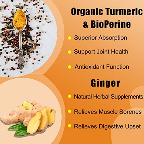 bioroot turmeric for senior dogs