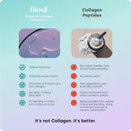 Biosil collagen for joint support