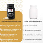 Biosyntra NAD+ for healthy aging
