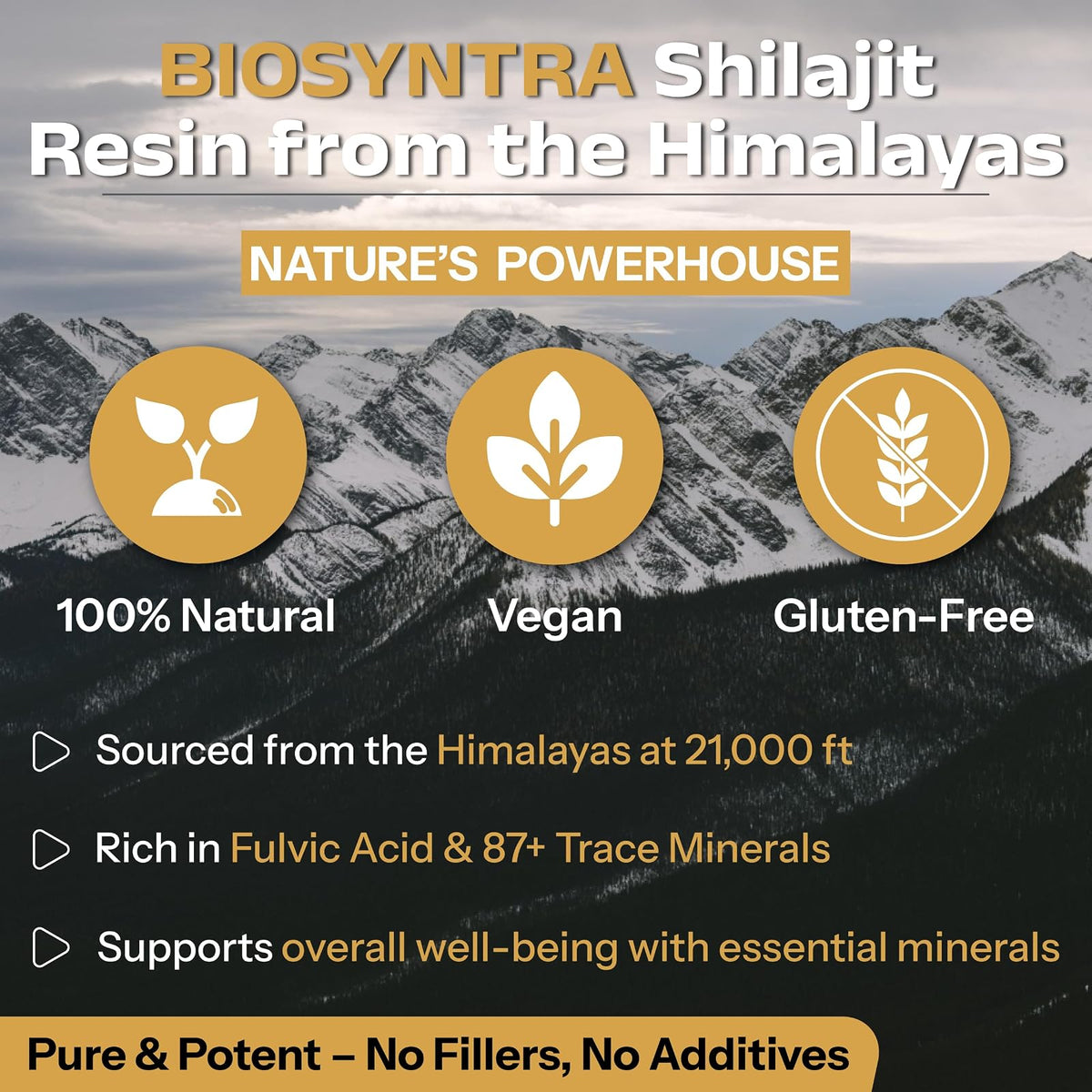 Biosyntra Shilajit with fulvic acid