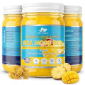 BioVitalica sea moss gel benefits