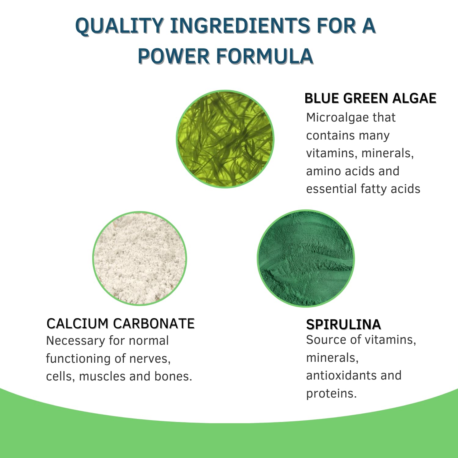 Bioxtron immune support tea bags
