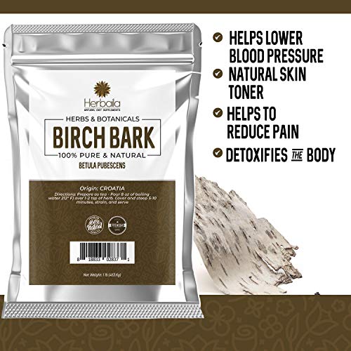 birch bark tonic for wellness