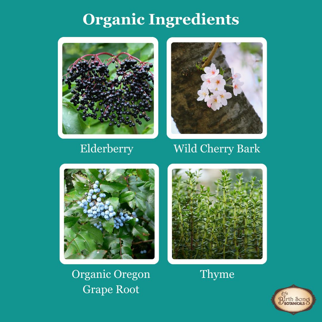 birth song botanicals elderberry extract