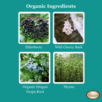 birth song botanicals elderberry extract