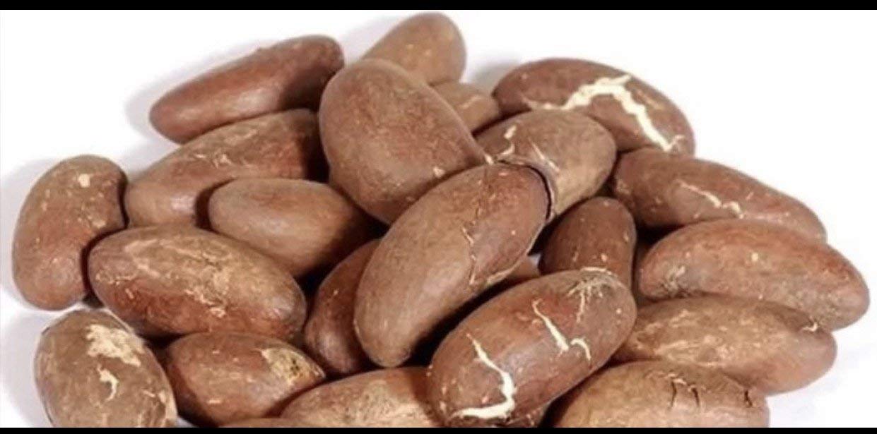 Bitter Kola appetite support supplement