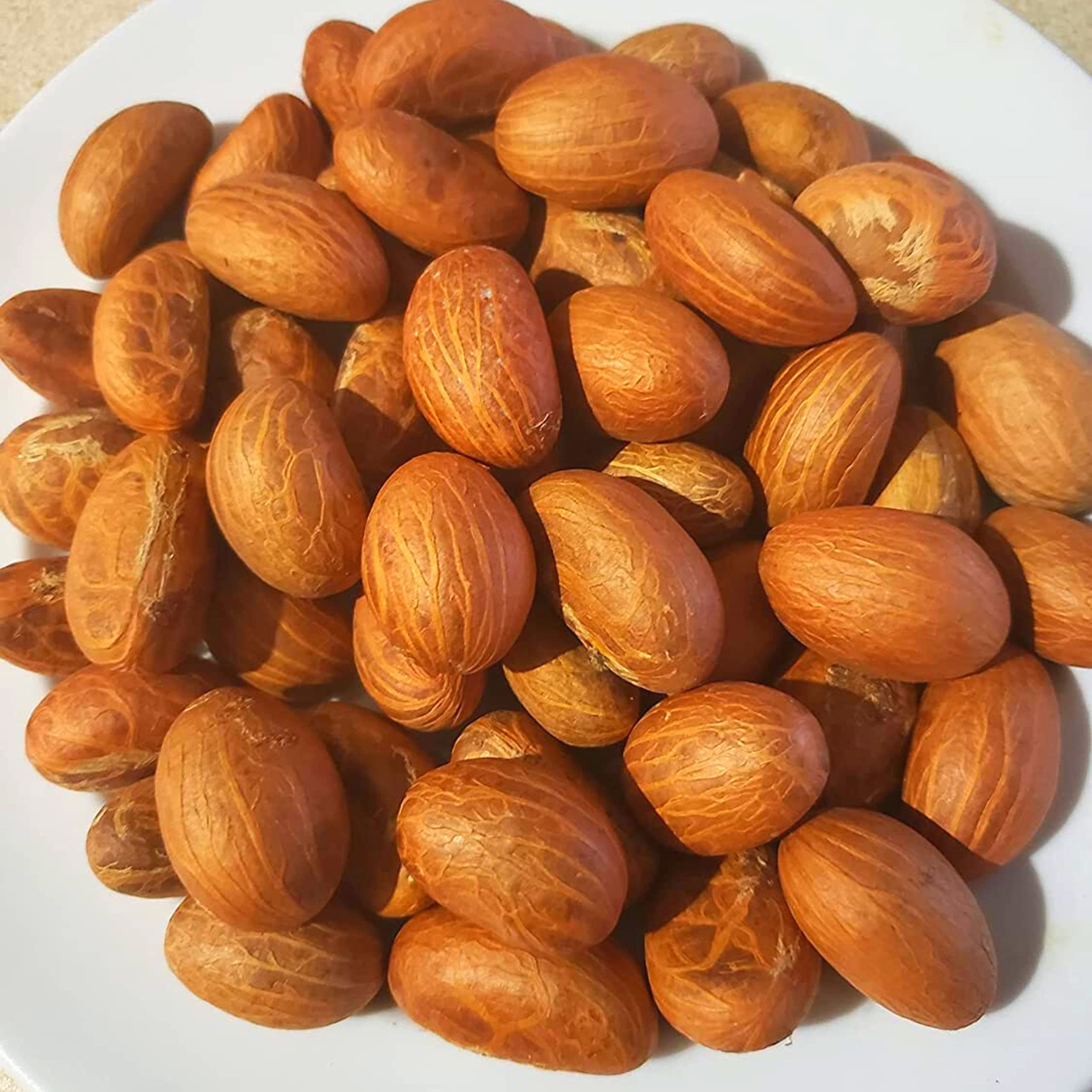 bitter kola for digestion health