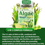 BIZYAC fish oil gummies for joint health