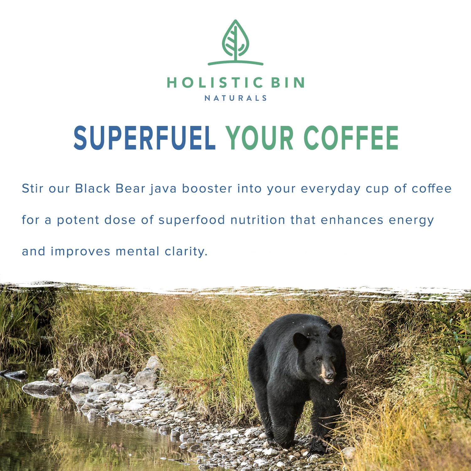 Black Bear mushroom coffee benefits