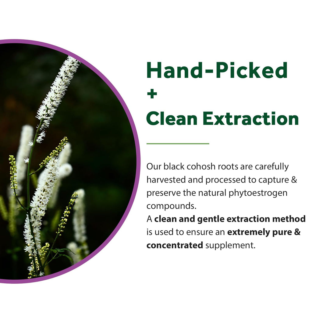 Black Cohosh for hormonal balance