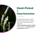 Black Cohosh for hormonal balance