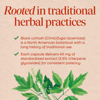 black cohosh herbal remedy for hot flashes