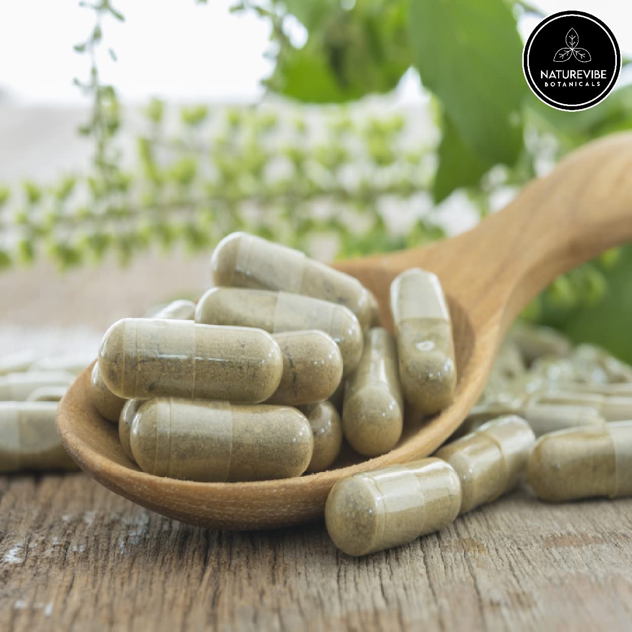black cohosh supplement for women's wellness