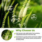 black cohosh tea for menstrual support