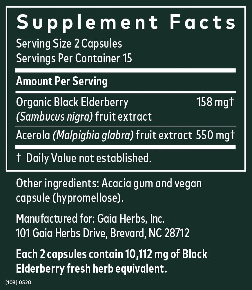 black elderberry extract for seasonal health