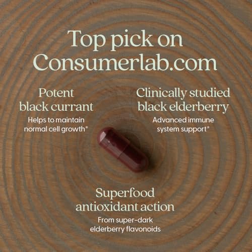 black elderberry extract for seasonal health