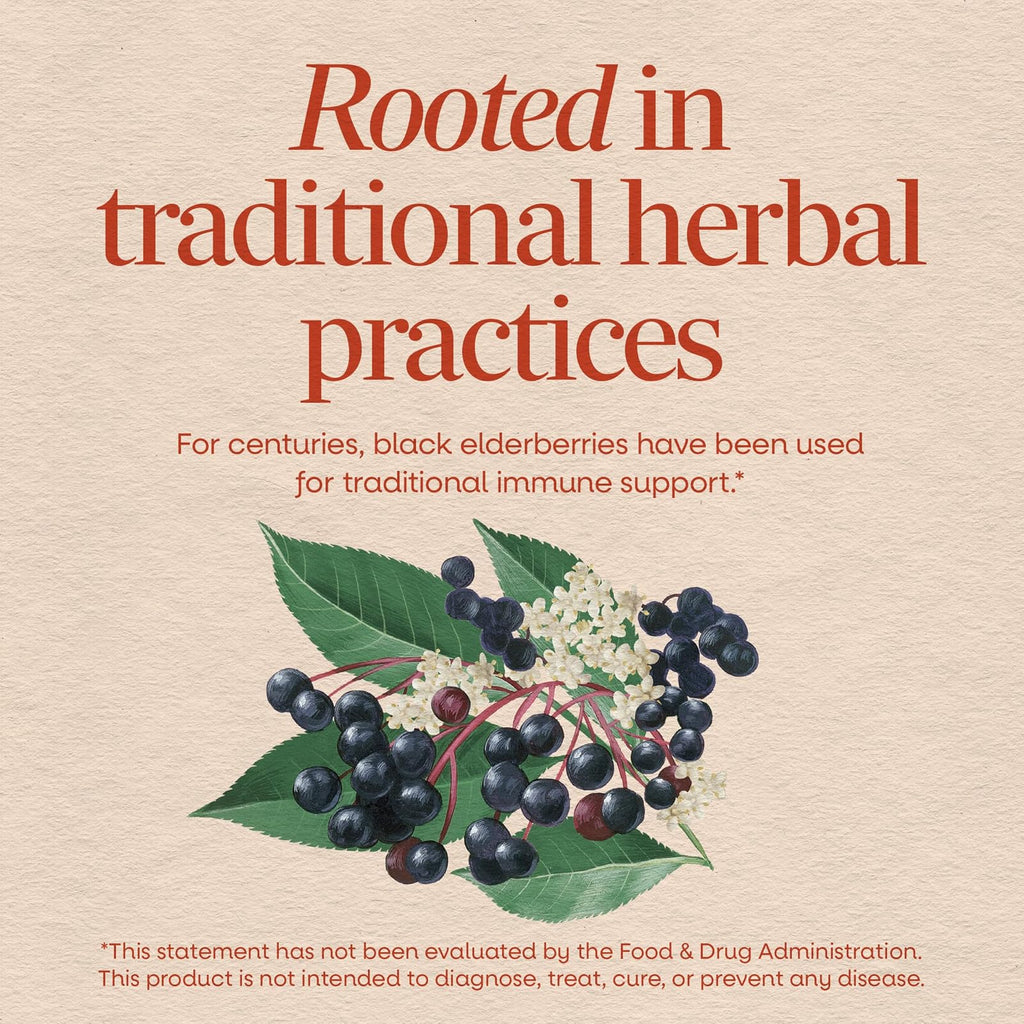 Black elderberry extract for seasonal support