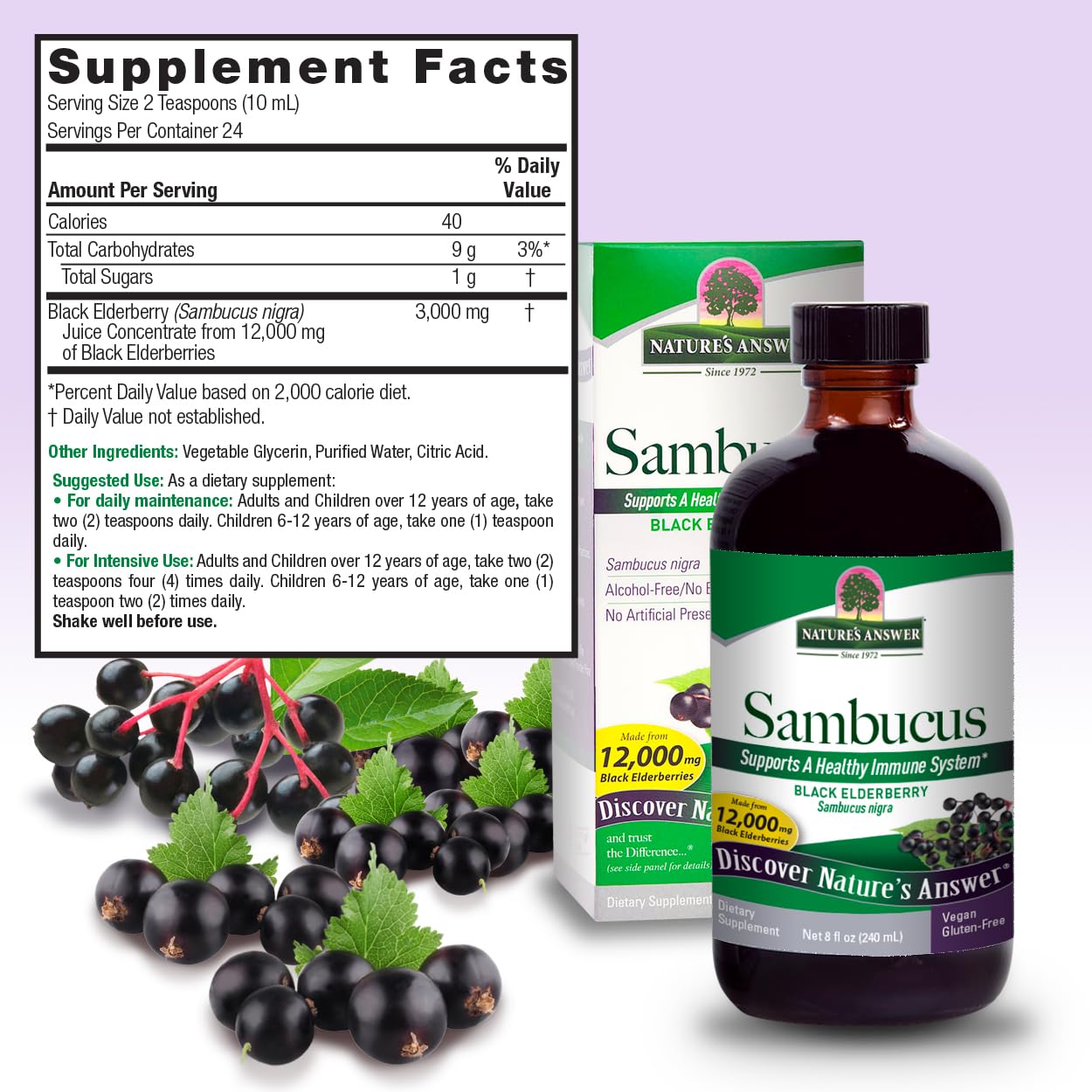 black elderberry extract for seasonal wellness