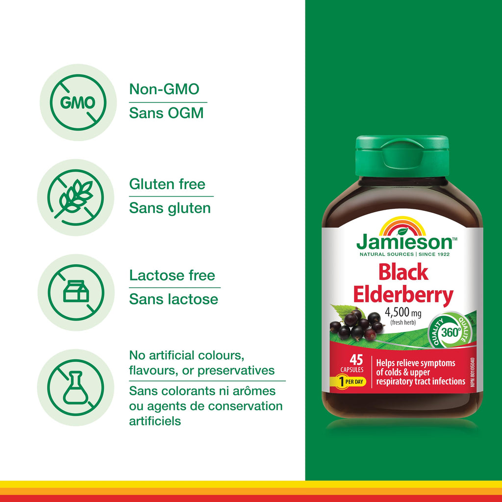 black elderberry extract health benefits