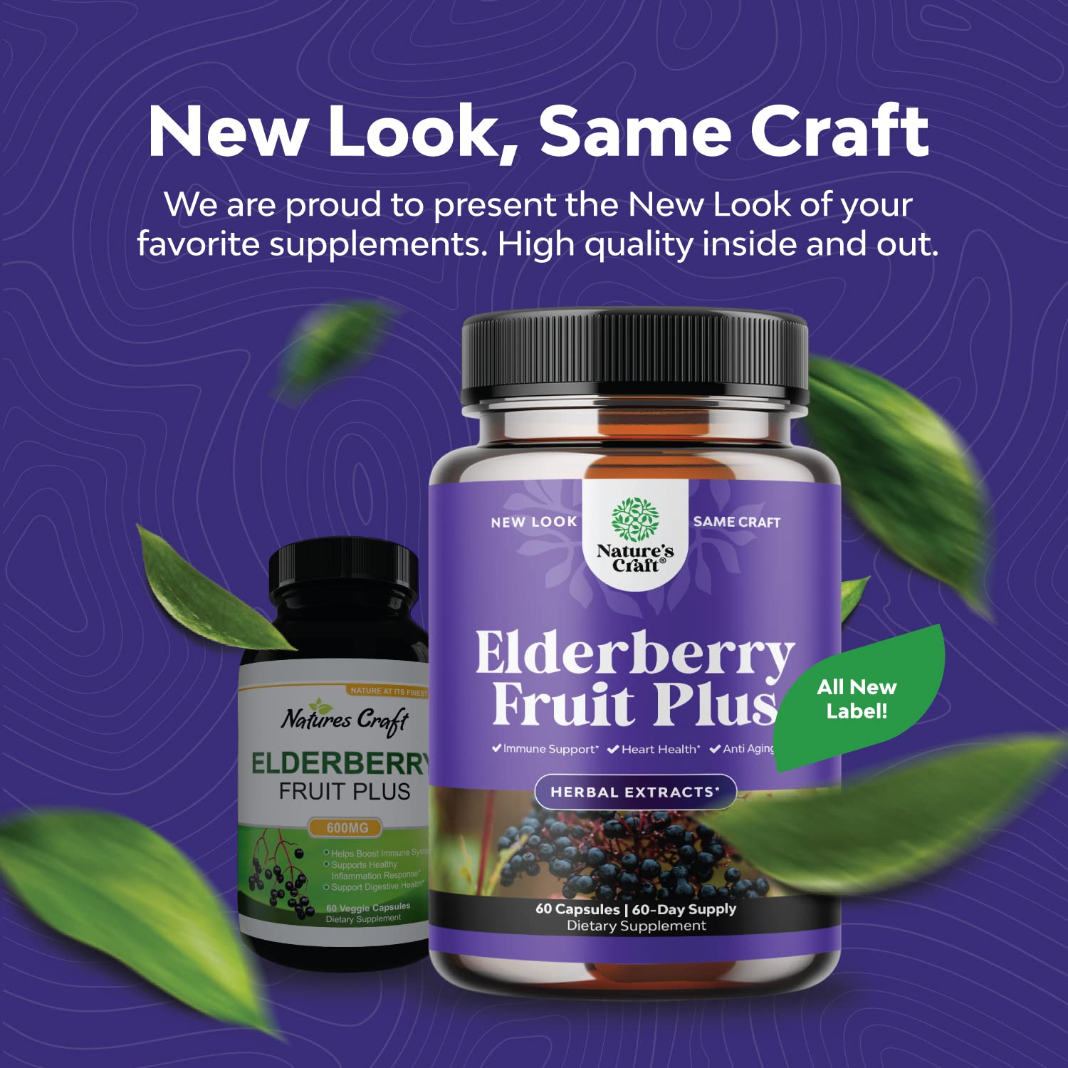 black elderberry for healthy living