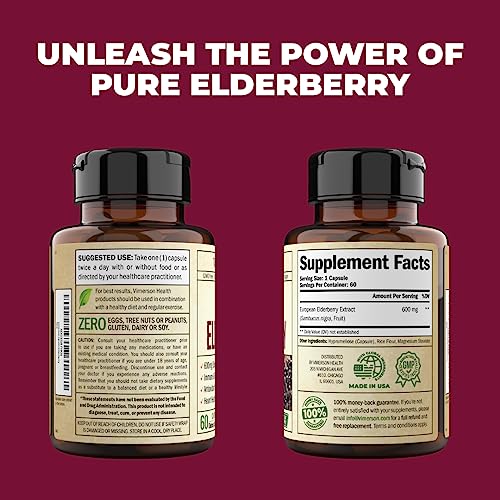 black elderberry for immune system