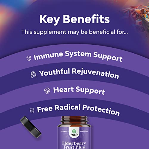 black elderberry for optimal health