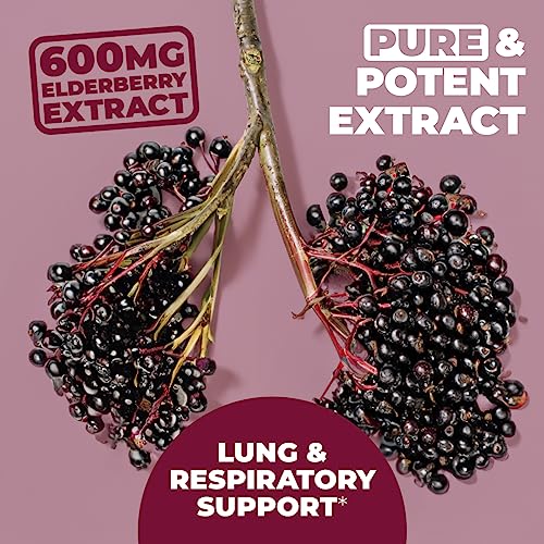 black elderberry for respiratory health
