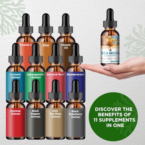 black elderberry immune booster drops