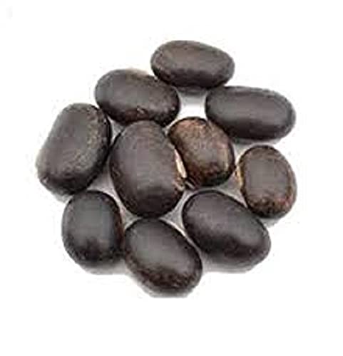 black kaunch seed health benefits