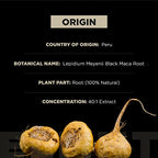 black maca root for hormonal balance
