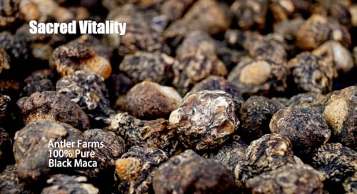 black maca root for hormonal balance