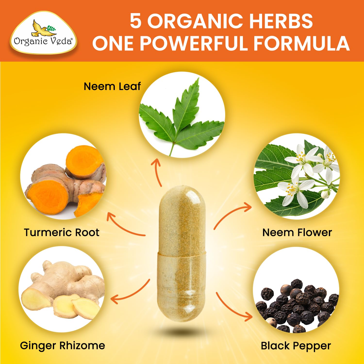 Black pepper enhanced turmeric capsules