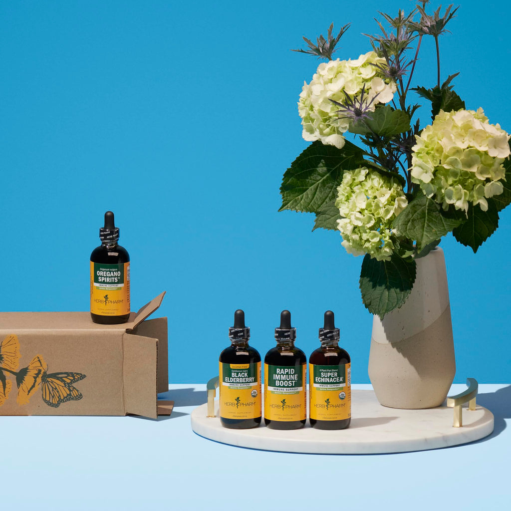 black seed oil and oregano benefits