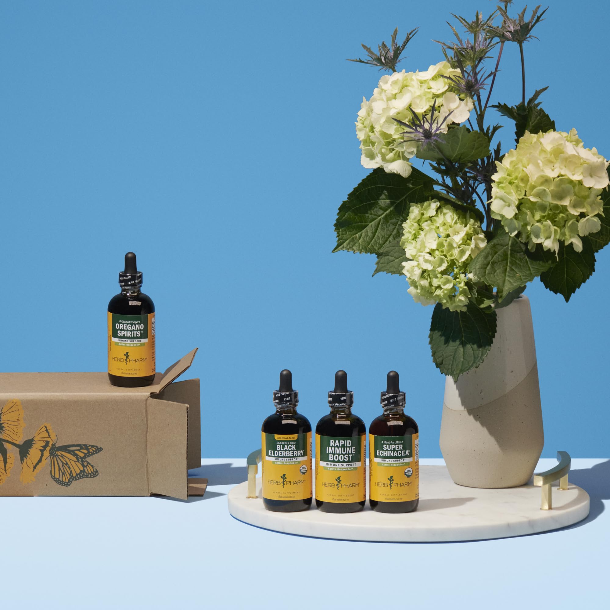 black seed oil and oregano benefits
