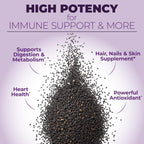black seed oil antioxidant benefits