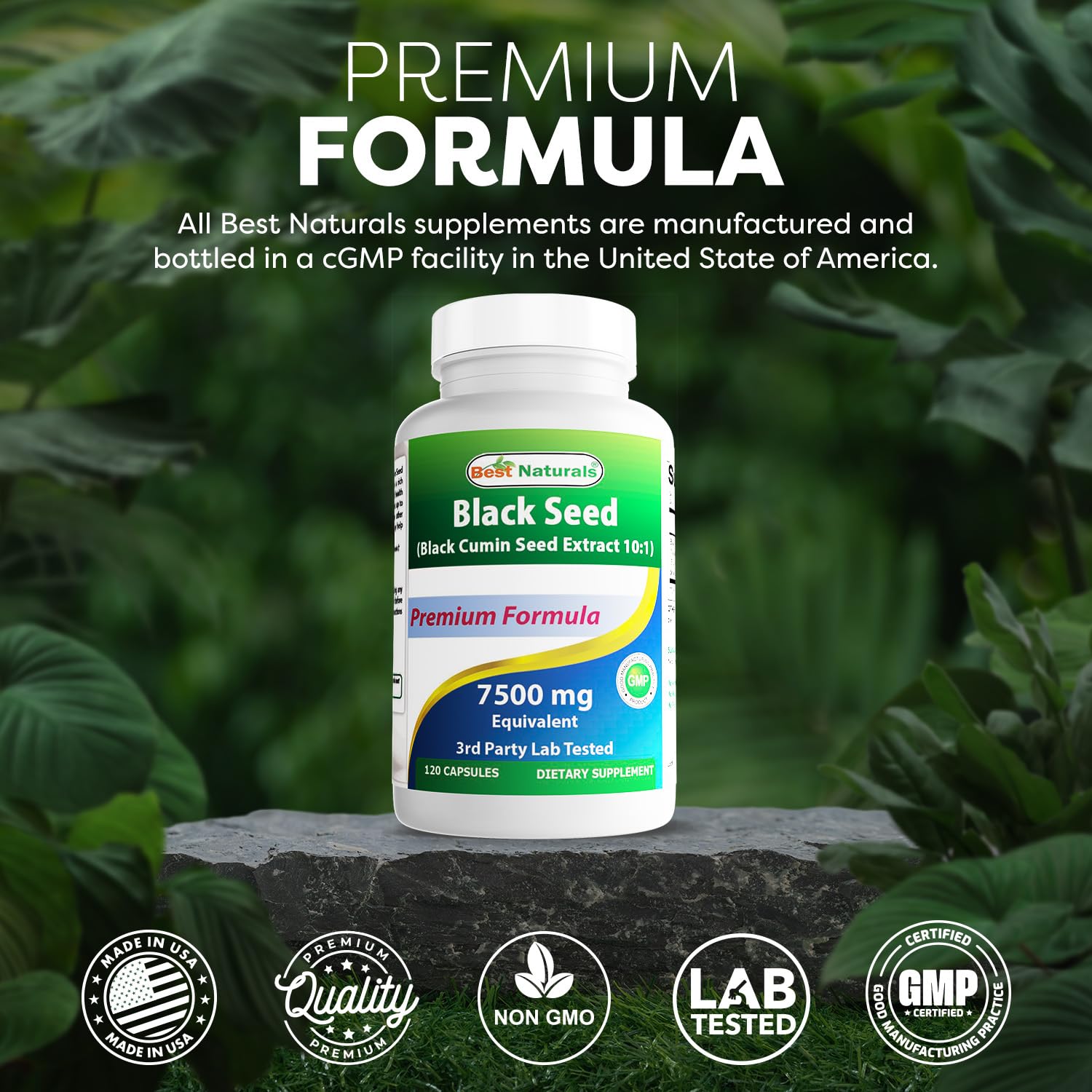 black seed oil antioxidant benefits